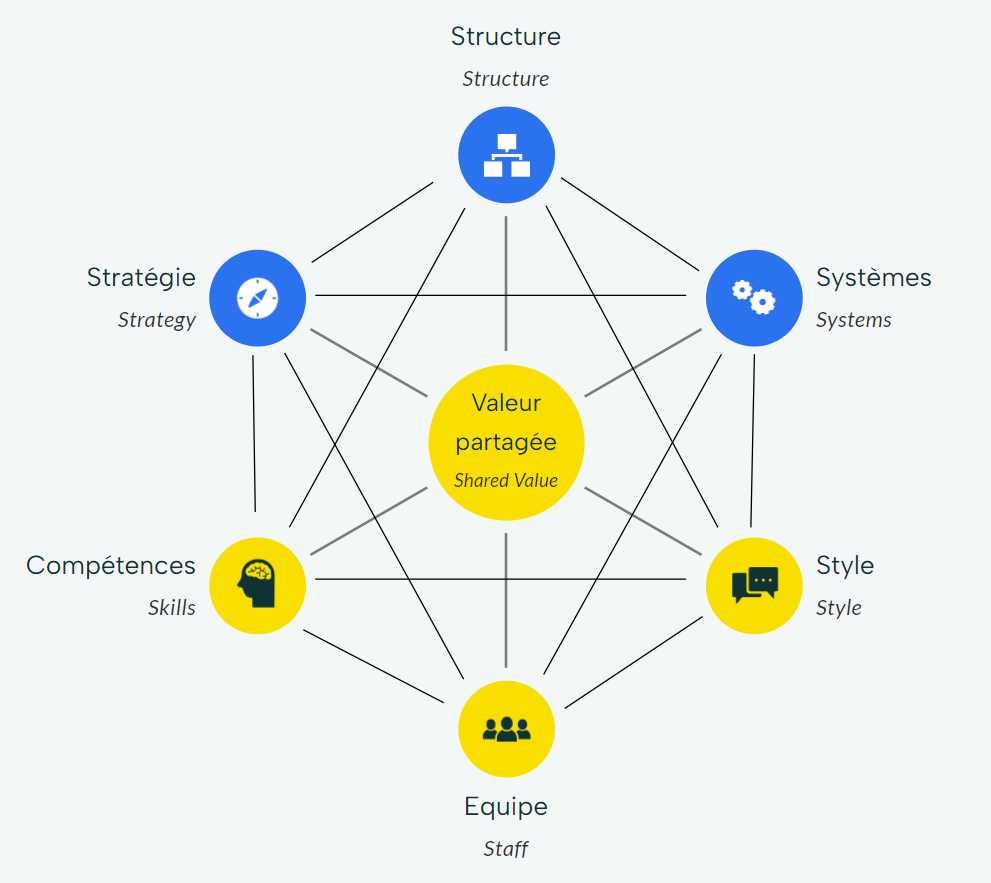 McKinsey 7S Framework Model: Guida al Successo Organizzativo