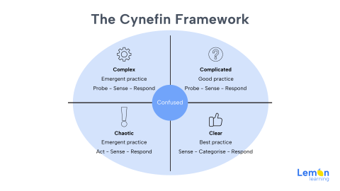 Framework Cynefin : naviguer dans le chaos digital